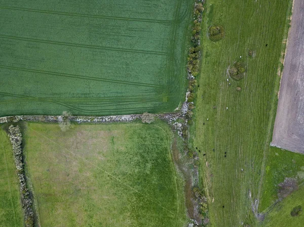 Farm land ireland Stock Photos, Royalty Free Farm land ireland Images ...