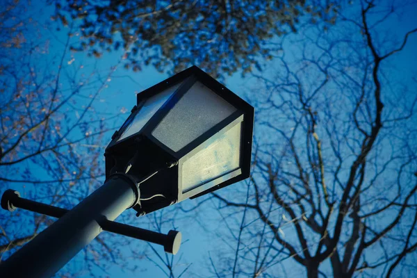 Blue lamplight Stock Photos, Royalty Free Blue lamplight Images ...