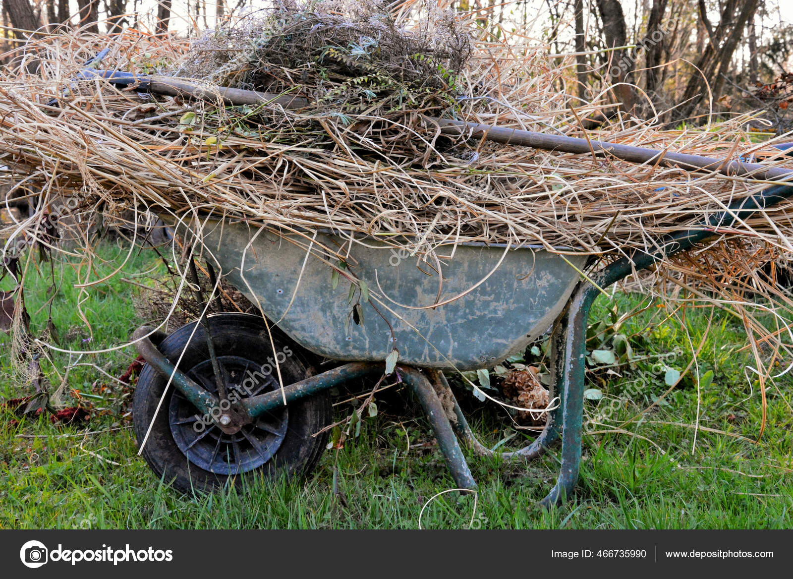 Old Rural Cart Branches Twigs — Stock Photo © Wirestock #466735990 Old Rural Cart Branches Twigs — Stock Photo © Wirestock #466735990