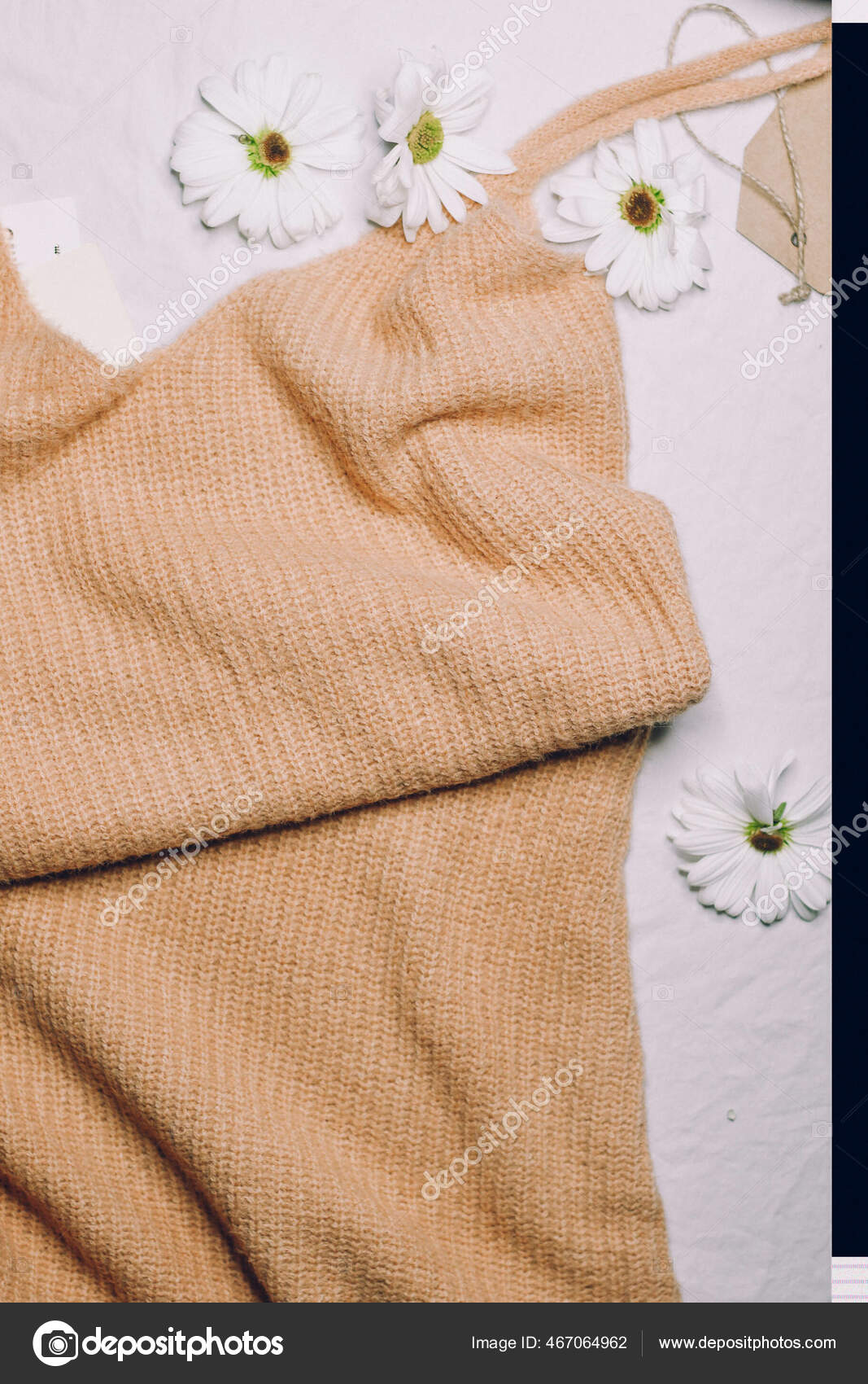 Vertical Shot Crocheted Dirty Rose Top White Background Decorated White ...