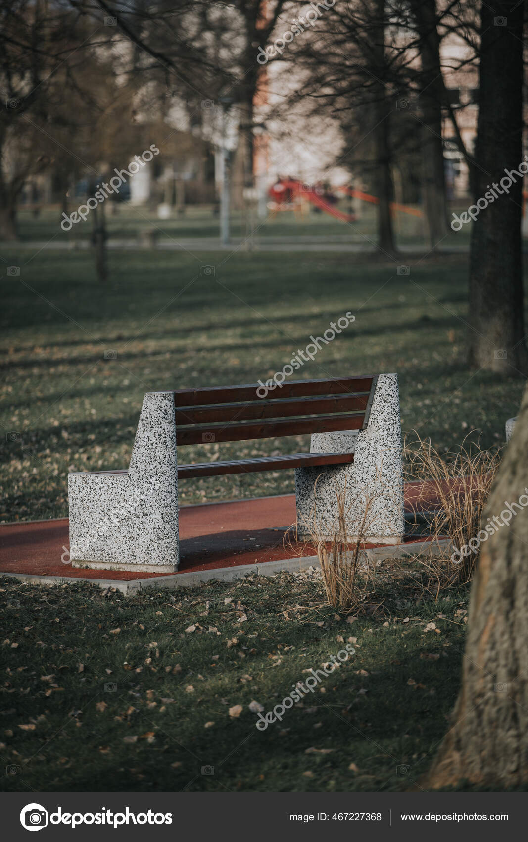 Park Bench Back View
