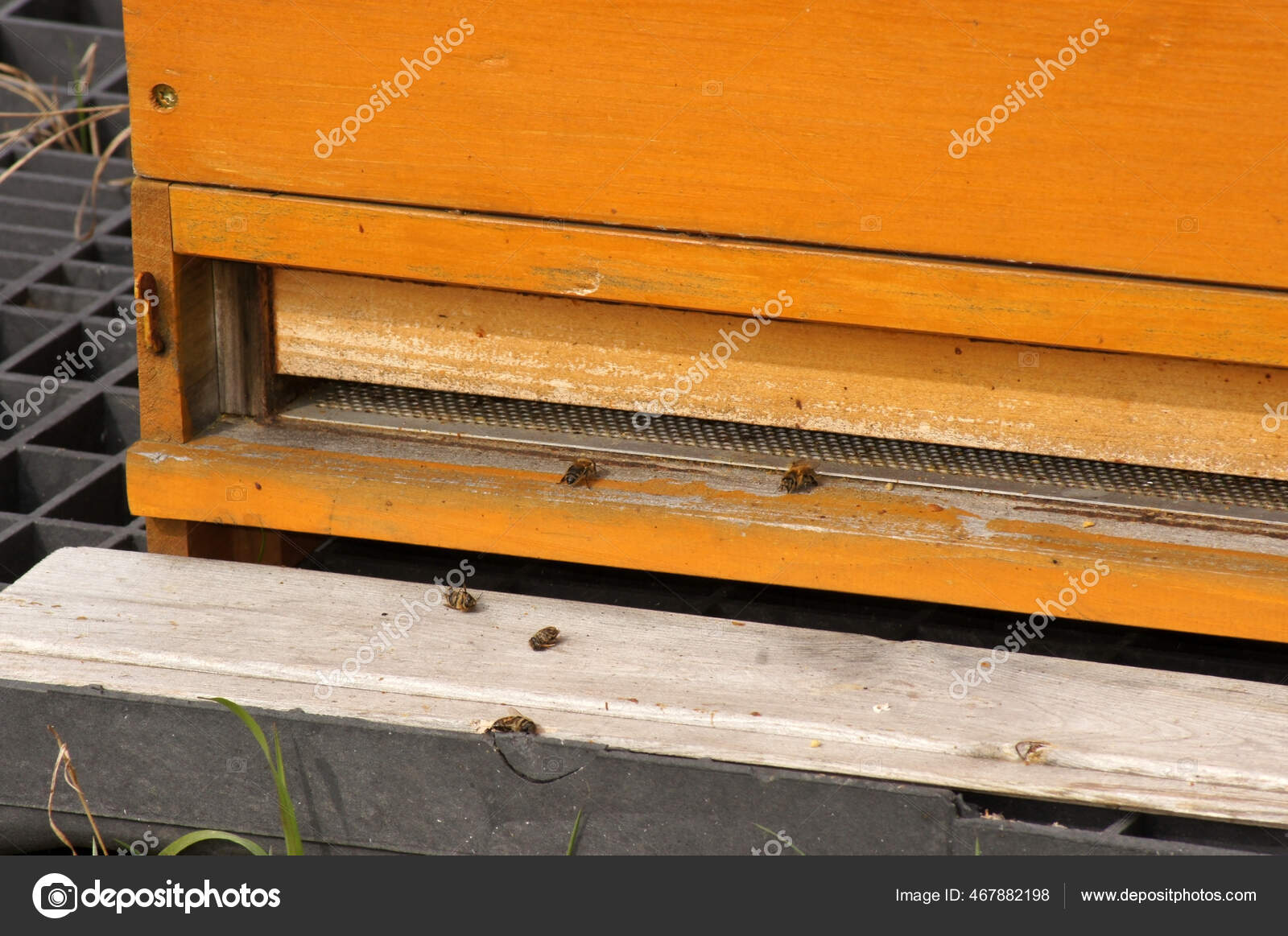 Closeup Modern Beehive Stock Photo by ©Wirestock 467882198