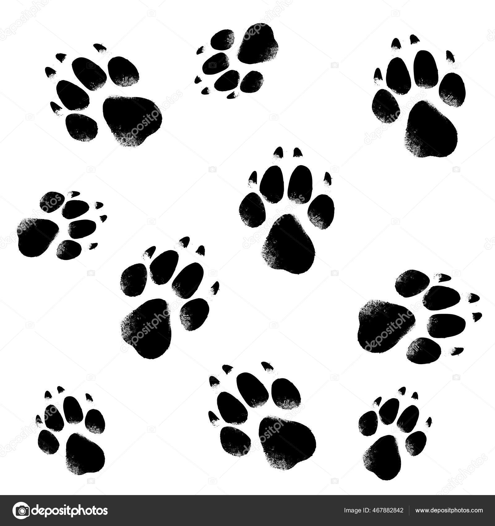 Black Imprints Animal Paw White Background Stock Illustration by ...