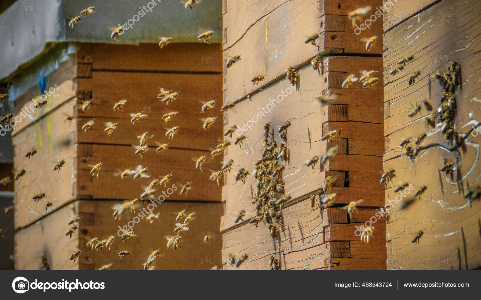 Beautiful Spring Scenes Hives Bees Nature — Stock Photo © Wirestock ...