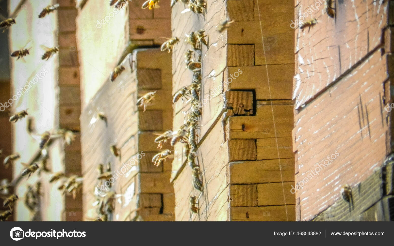 Beautiful Spring Scenes Hives Bees Nature Stock Photo by ©Wirestock ...