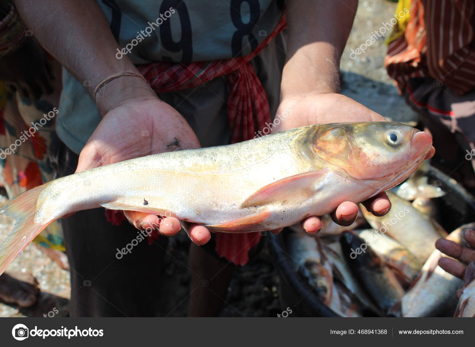 Fish With Human Arms