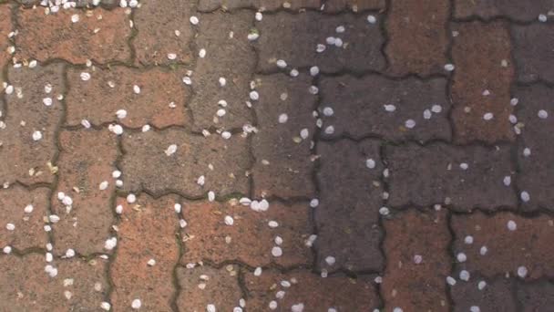 37,809 Pavement Videos, Royalty-free Stock Pavement Footage | Depositphotos