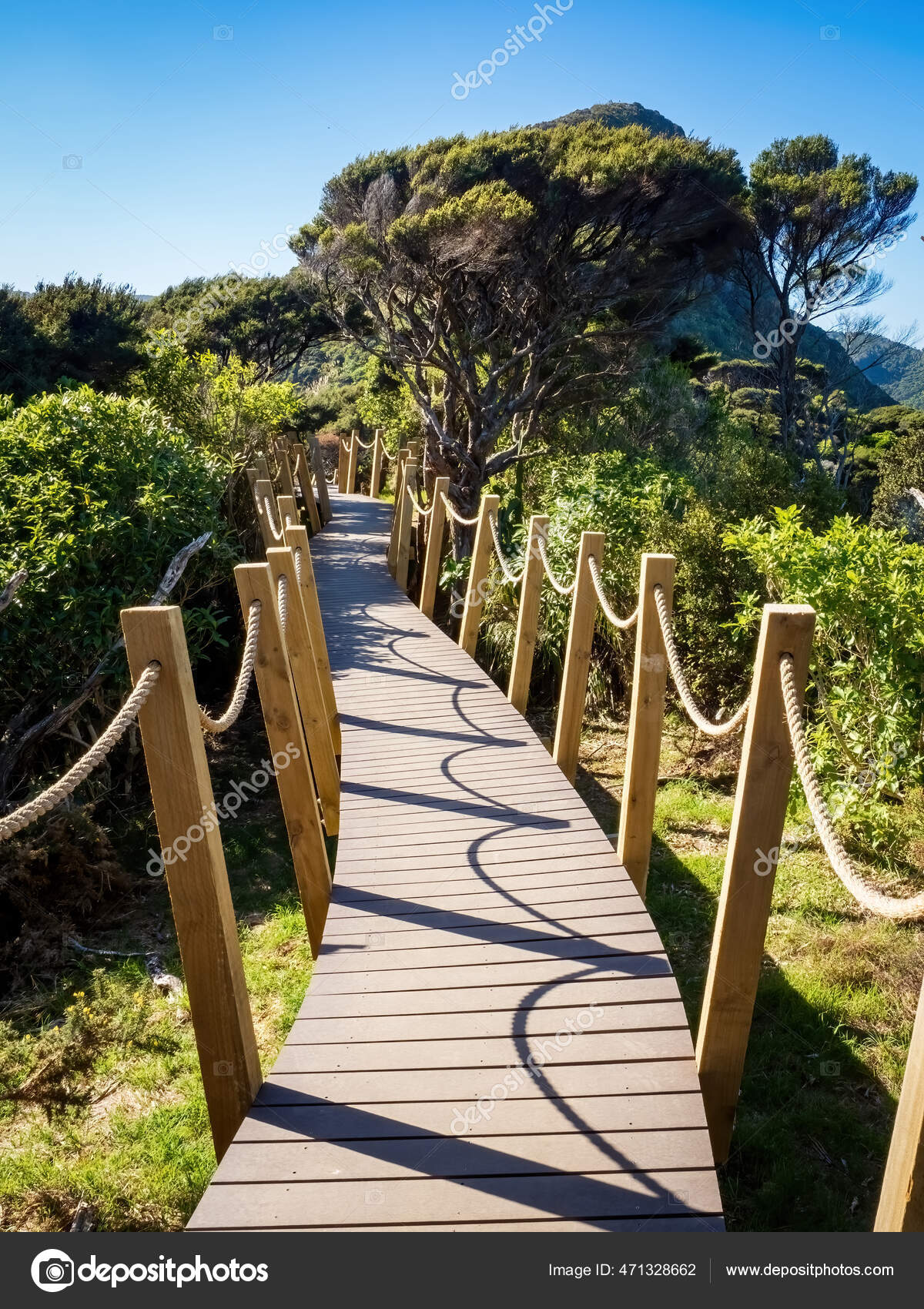 Omanawanui Track Waitakere Ranges Stock Photo by ©Wirestock 471328662
