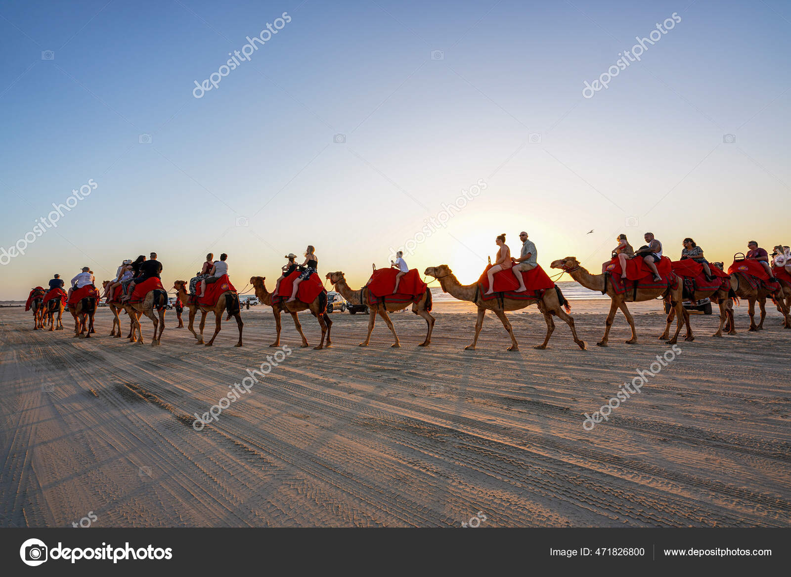 Broome Australia Jan 2021 Beautiful Sunset Back Camel Broome — Stock ...