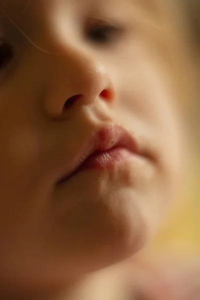 Small nose Stock Photos, Royalty Free Small nose Images | Depositphotos