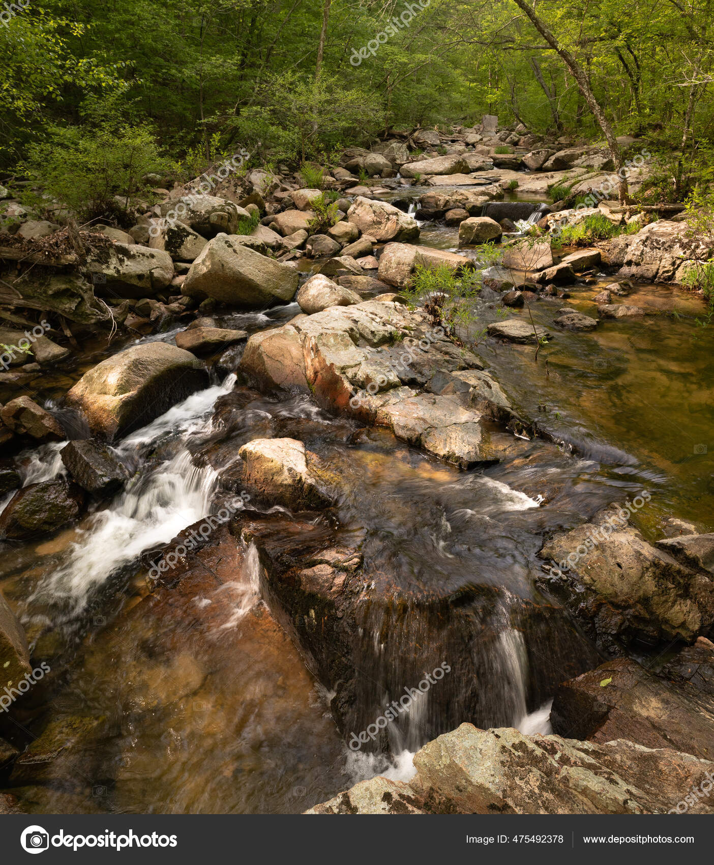 Vertical Shot Flowing Stream Stones Park Stock Photo by ©Wirestock ...