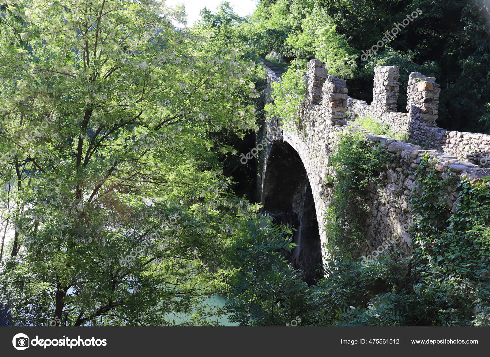 Beautiful Arched Stone Bridge Forest — Stock Photo © Wirestock #475561512