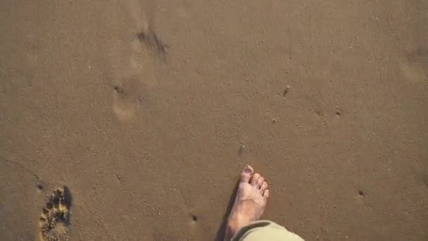 Top View Bare Human Feet Walking Ocean Sandy Beach Sunset — Stock Video ...