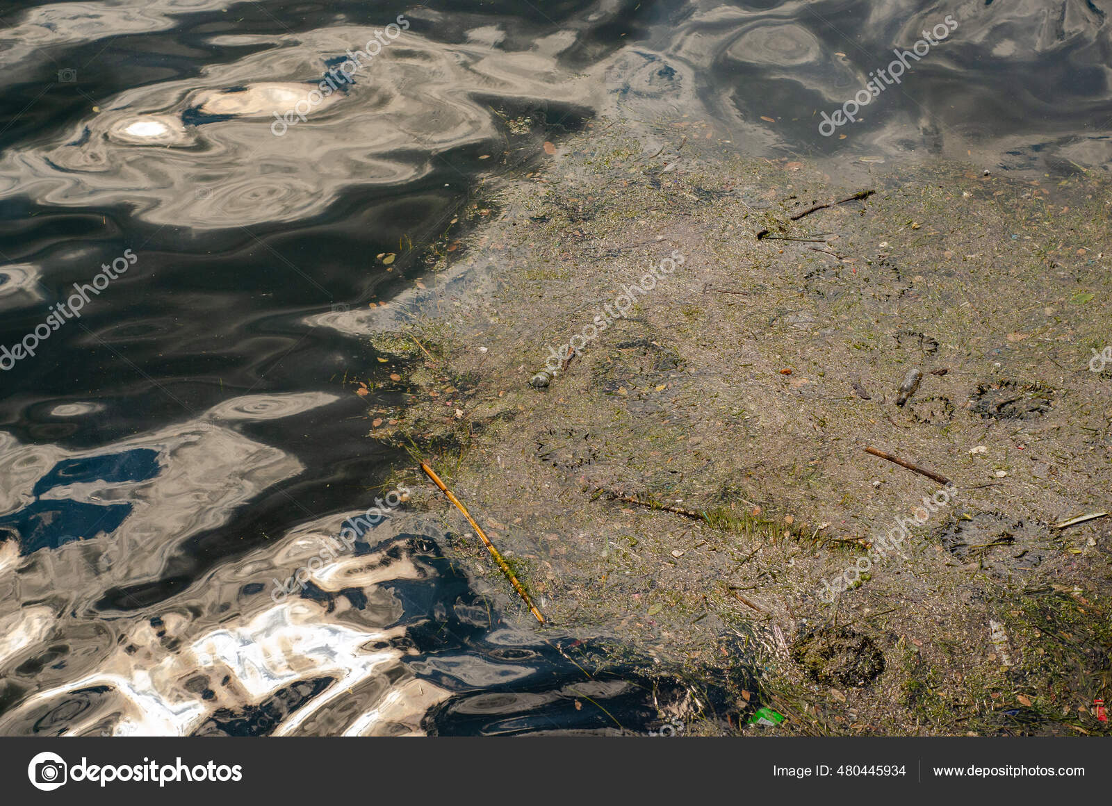 Top View Shot Dirty Land Surrounded Reflective Water — Stock Photo ...