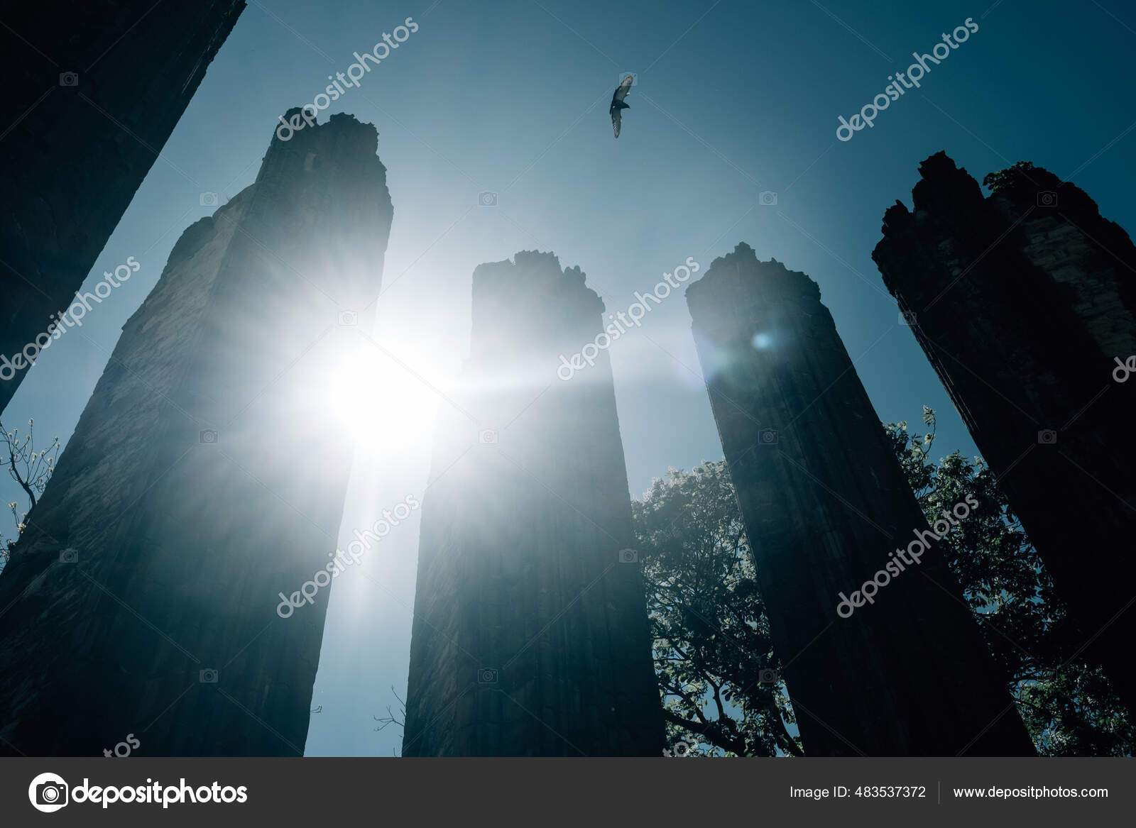 Pigeon Flying Clear Blue Sky Ancient Pillars Ruins Sun Shining Stock ...