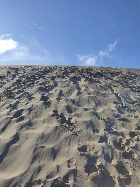 La duna du pala fotos de stock, imágenes de La duna du pala sin ...