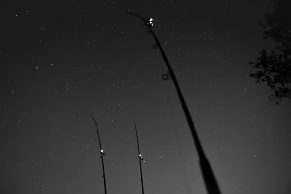 Full moon fishing Stock Photos, Royalty Free Full moon fishing Images ...