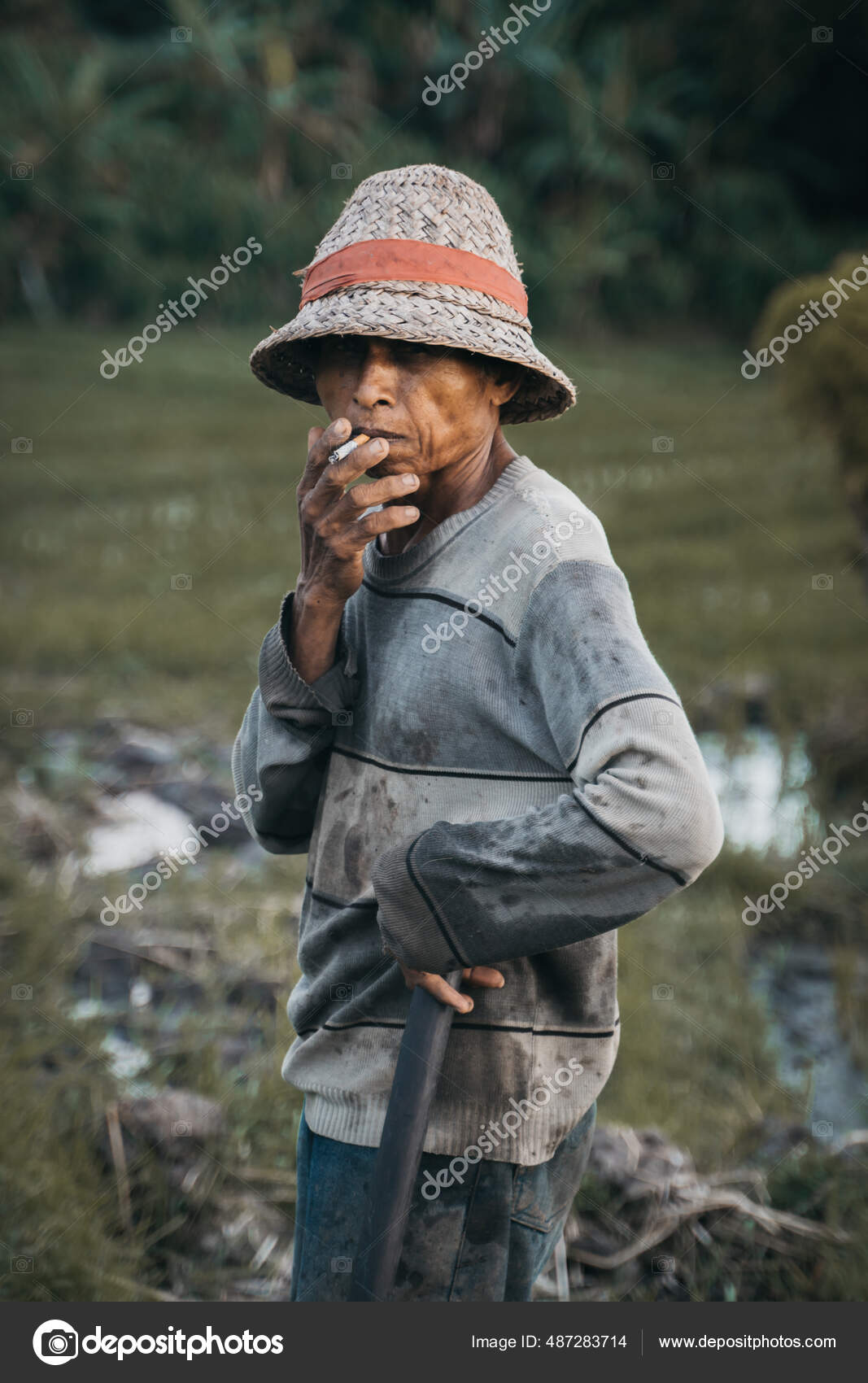Indonesia Mar 2020 Old Indonesian Paddy Field Worker Smoking Rice ...