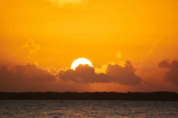 Key west sun Stock Photos, Royalty Free Key west sun Images | Depositphotos