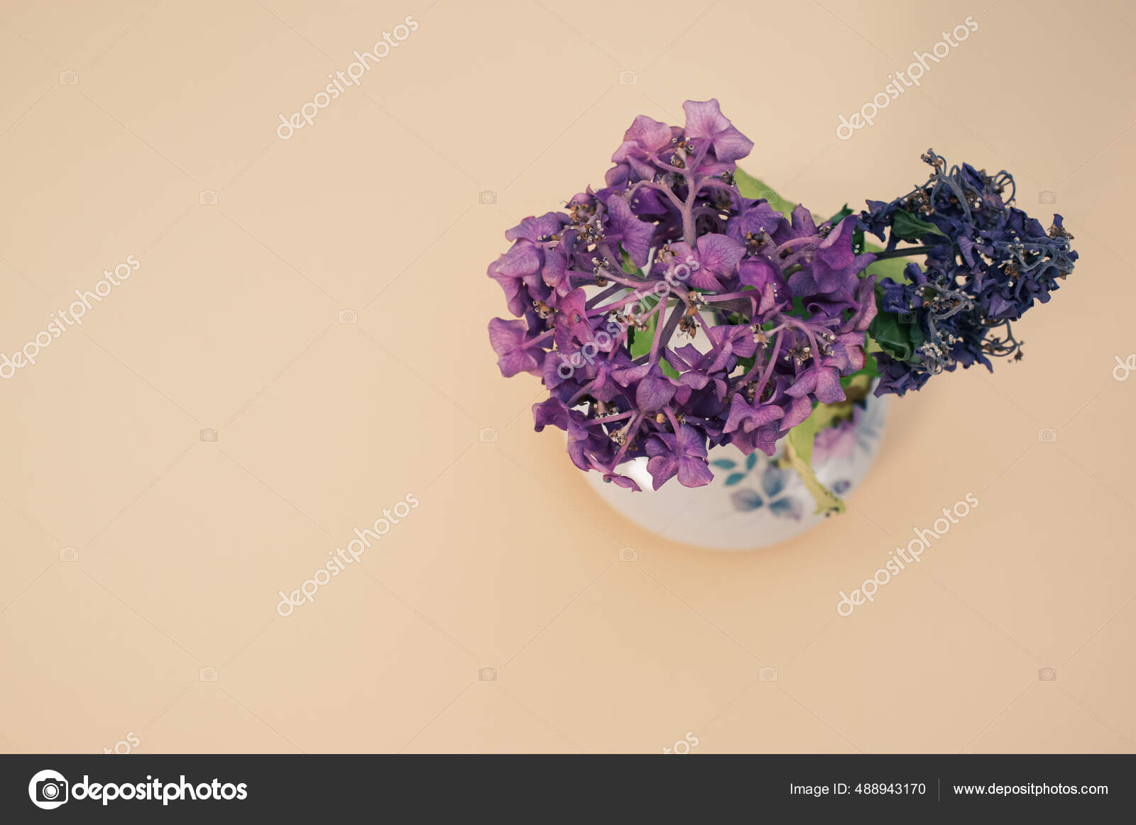 Flowers Vase Top View