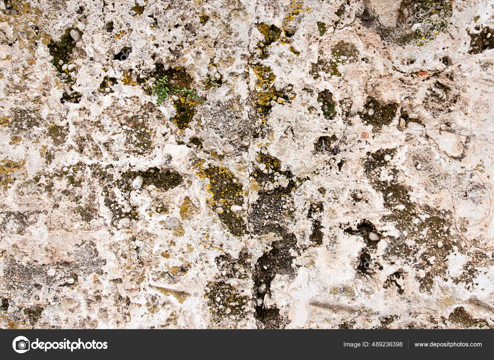 Mossy Stone Wall Texture Perfect Background Stock Photo by ©Wirestock ...