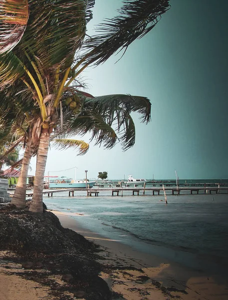 Belize 4k images Stock Photos, Royalty Free Belize 4k images Images ...