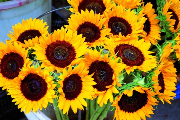 Sunflower bouquet Stock Photos, Royalty Free Sunflower bouquet Images ...