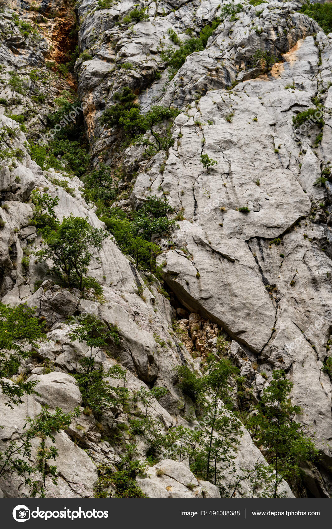 Closeup Cracked Rock Texture Stock Photo by ©Wirestock 491008388