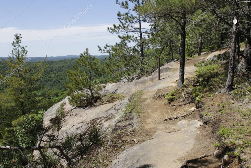 Un camino rocoso y denso bosque verde bajo un cielo despejado en el ...