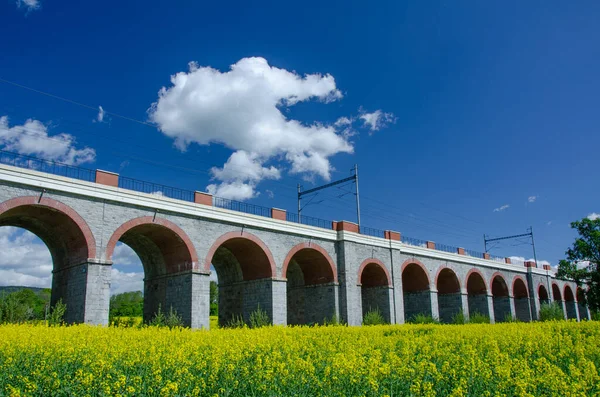 Beautiful Scene Viaduct Type Bridge Surrounded Green Fields Stock Photo ...