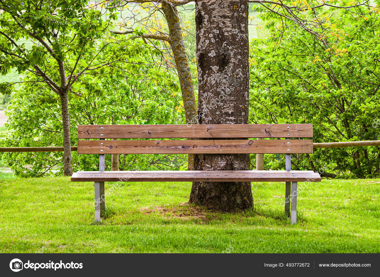 Park Bench Front View