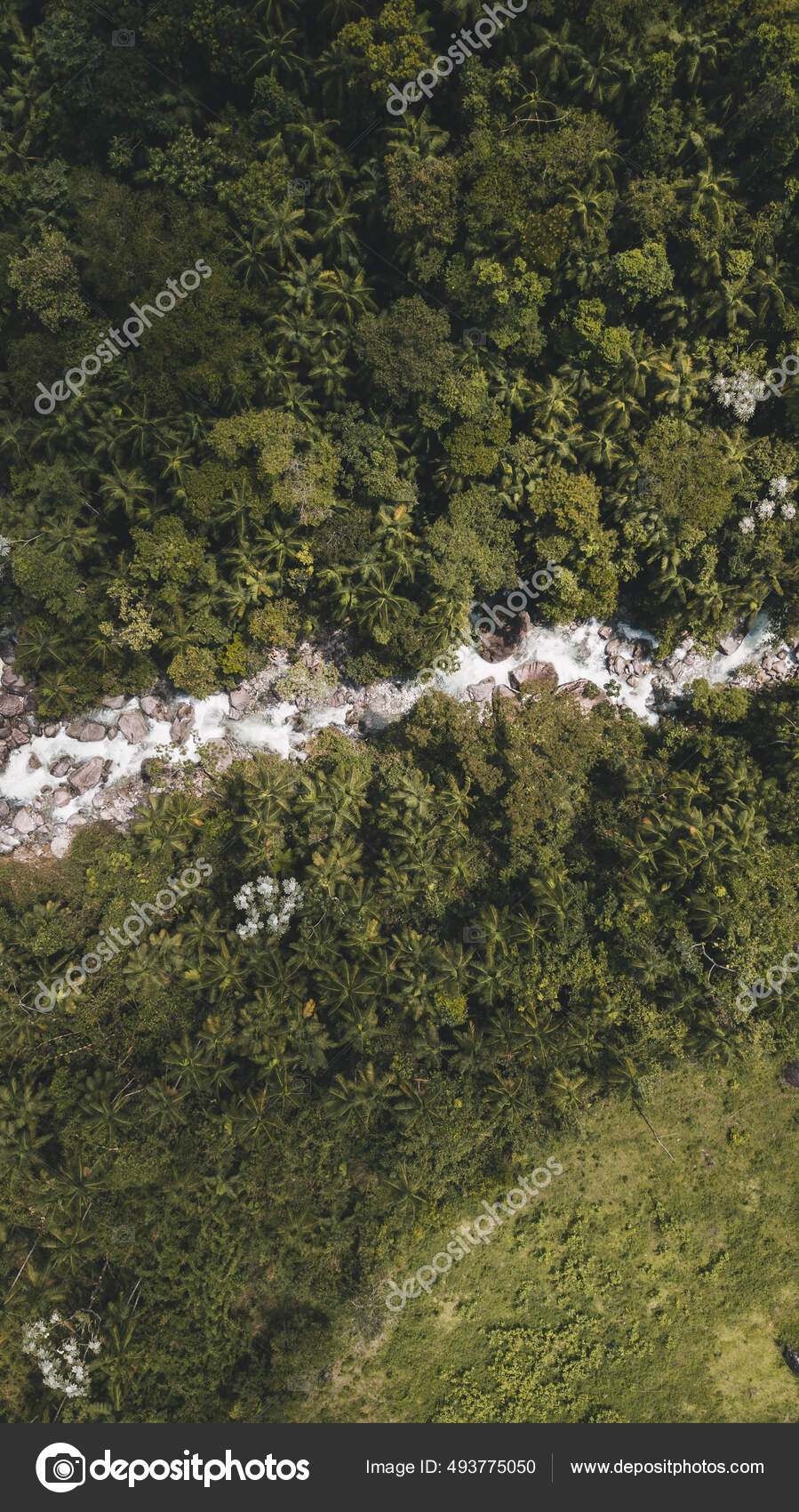 Aerial Shot Forest Various Trees River Running Horizontally — Stock ...