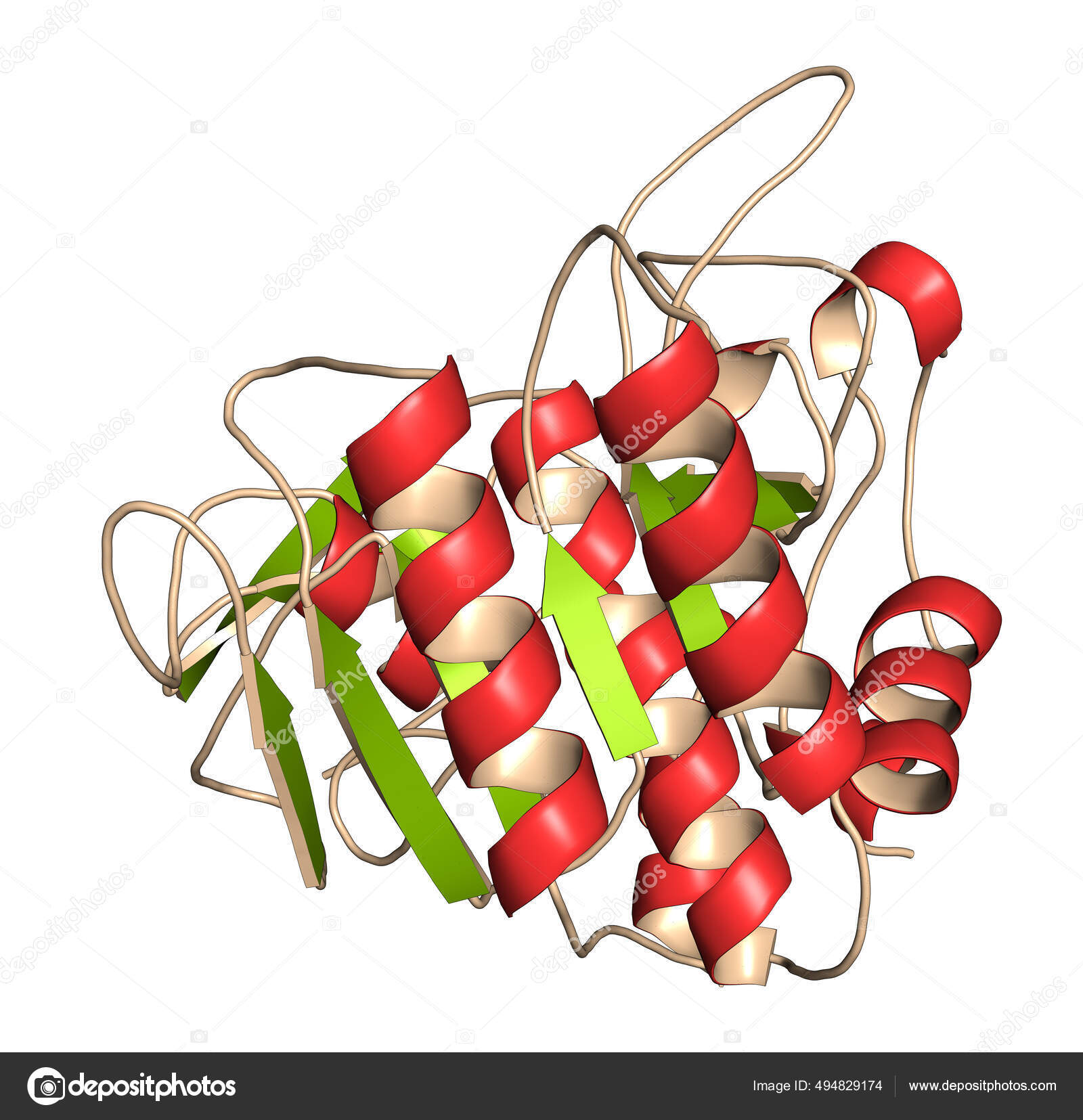 Nattokinase Enzyme Protein Produced Bacillus Natto Present Japanese Food Natto — Stock Photo ...