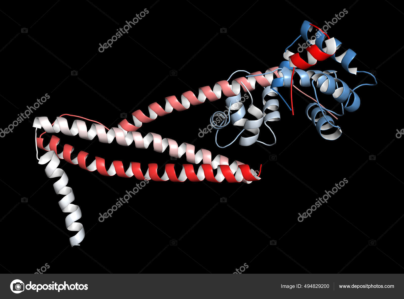 Troponin Rendering Structure Human Cardiac Troponin Core Domain ...