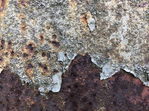 Shiny rough metal texture fotografie, zdjęcia stockowe, Shiny rough ...