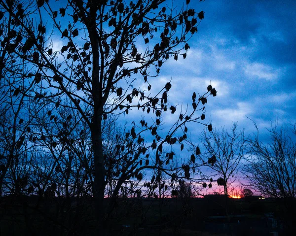 Gloaming Stock Photos, Royalty Free Gloaming Images | Depositphotos