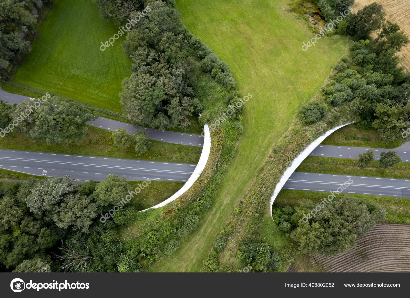 Ecoduct Greenery Bridge Freeway Wildlife Crossing Forming Safe Natural ...