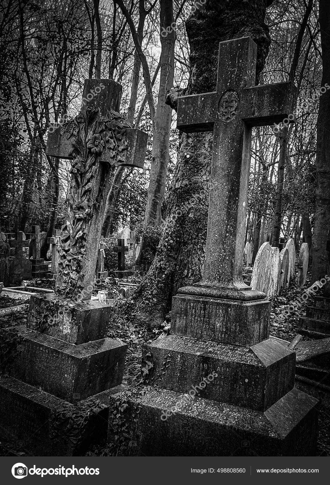 Vertical Grayscale Shot Tombstones Crosses Them Highgate Cemetery ...