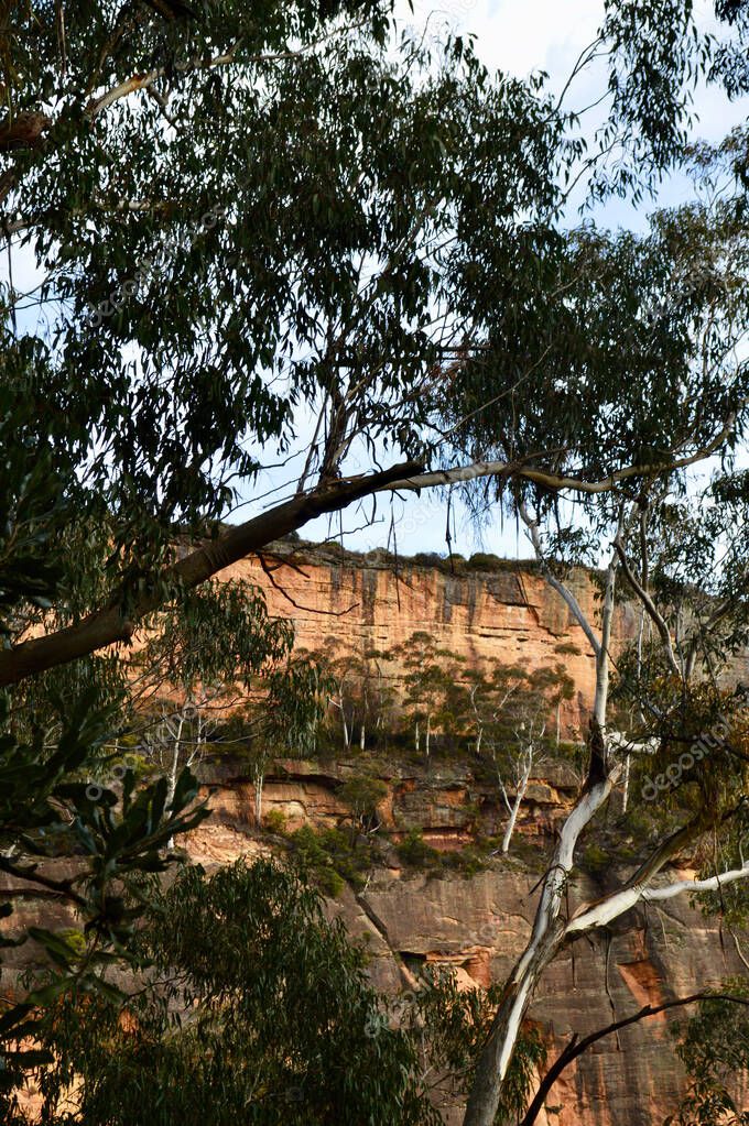 Una vista de una cara de acantilado en el valle de Megalong como se ve ...