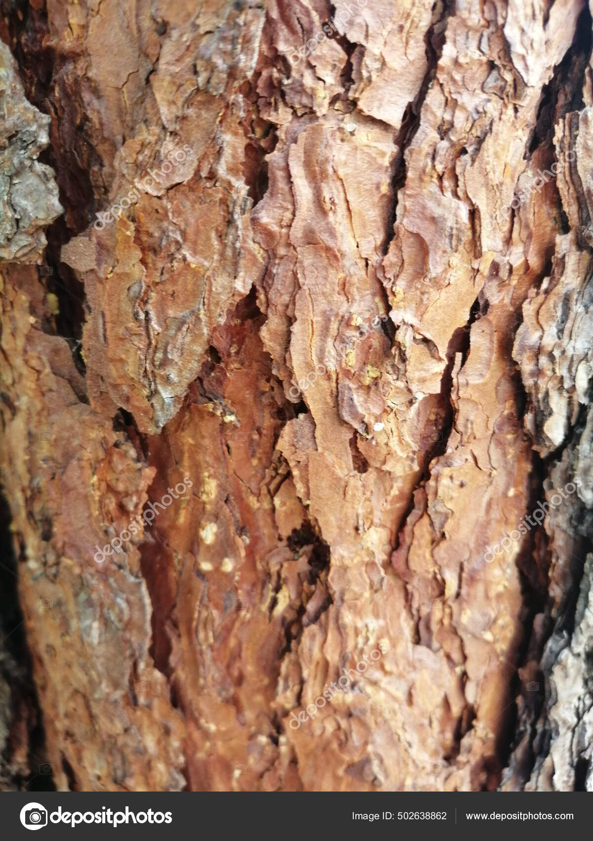 Vertical Shot Tree Trunk — Stock Photo © Wirestock #502638862