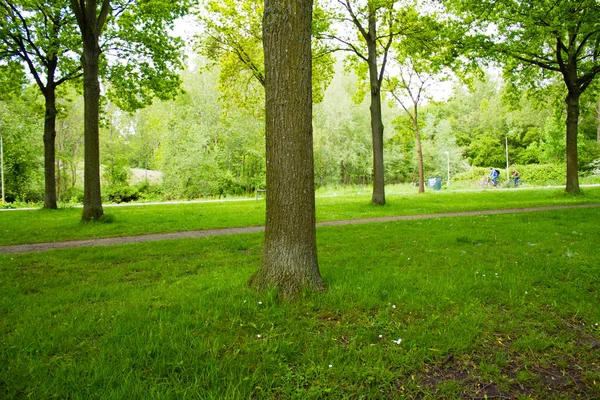 Park walking and Stock Photos, Royalty Free Park walking and Images ...