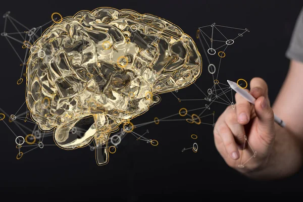 Digital Human Brain Render Connected Network Lines Artificial Intelligence Concept — Stock Photo ...