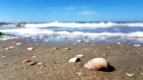 Photographing beach Stock Photos, Royalty Free Photographing beach ...