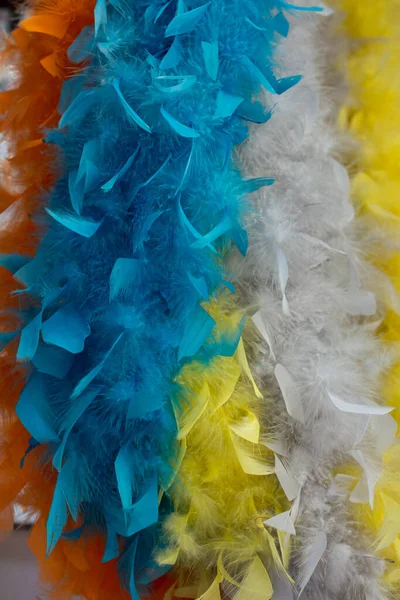 A closeup shot of multicolored feather boas - Stock Image - Everypixel