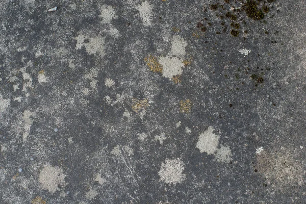 Mottled patches Stock Photos, Royalty Free Mottled patches Images ...