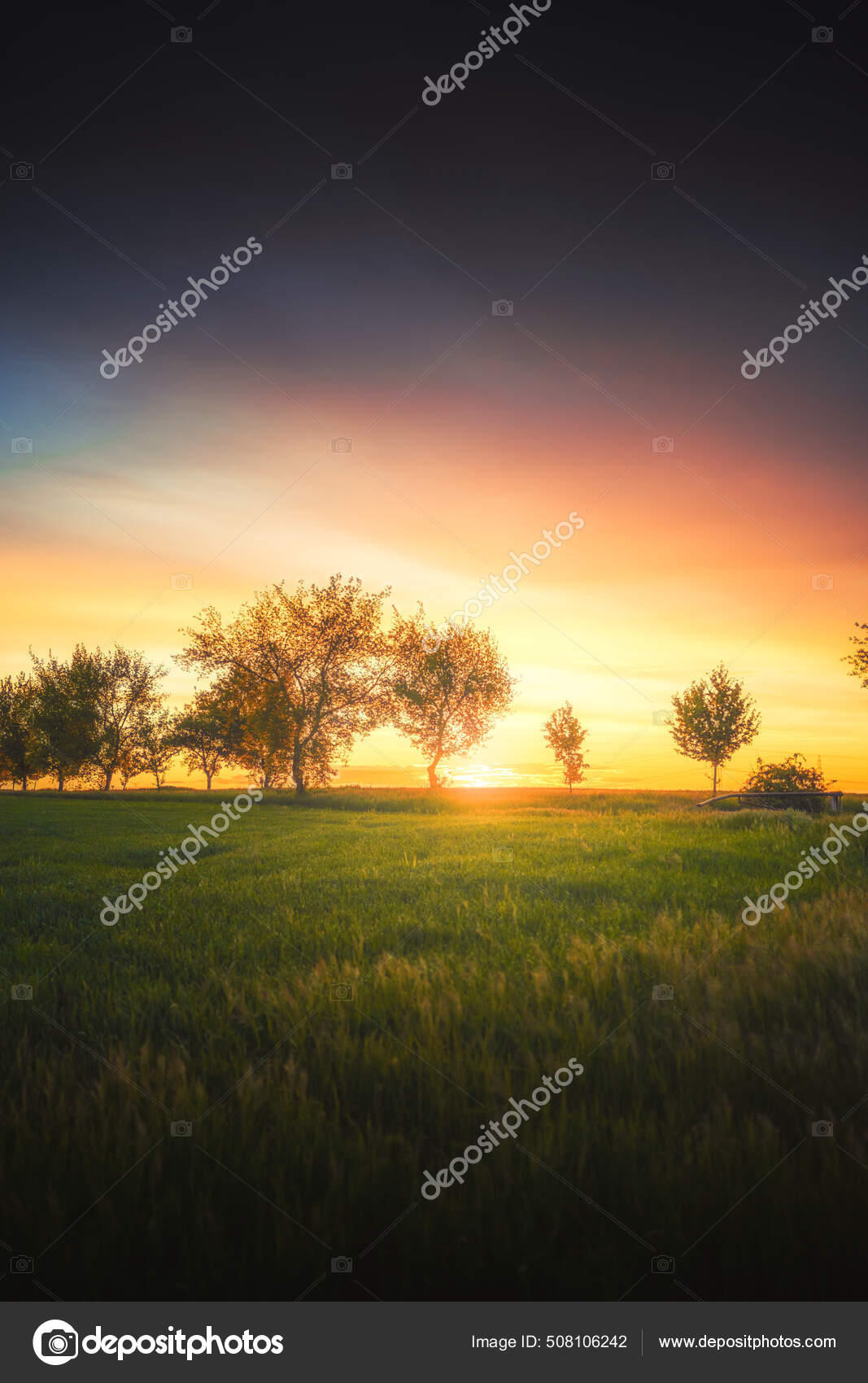 Green Grass Field Sunset