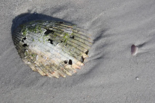 In de omgeving van wal Stock Photos, Royalty Free In de omgeving van ...