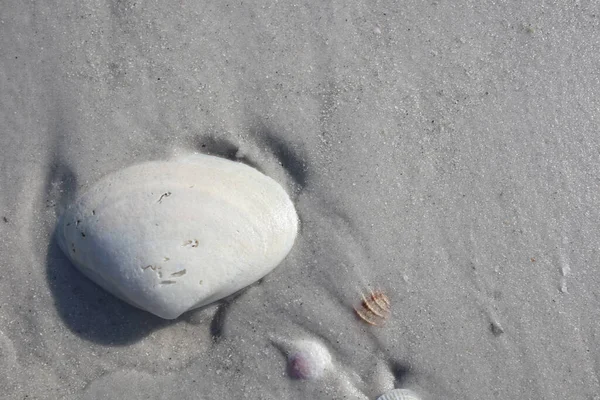 Sanibel beach Stock Photos, Royalty Free Sanibel beach Images ...