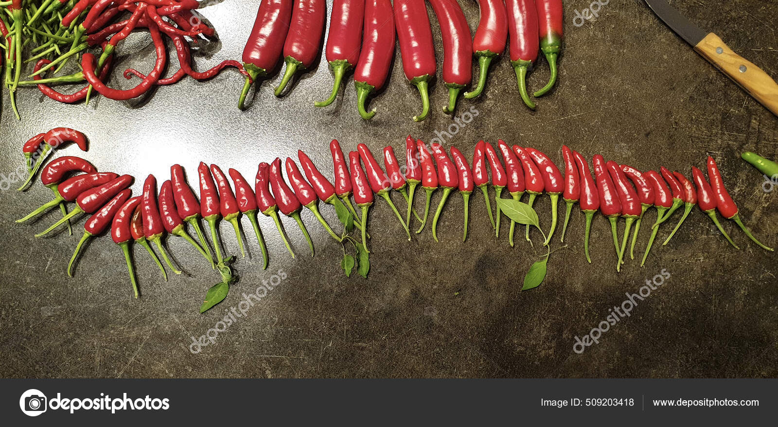 Nice Red Chili Pepper Different Sizes Und Types — Stock Photo ...