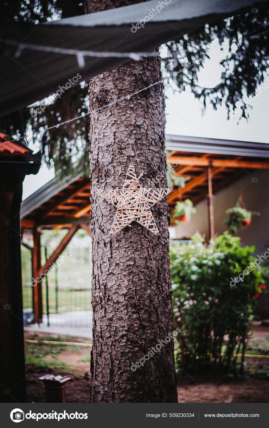 Star Shaped Straw Craft Tree Trunk Park Stock Photo by ©Wirestock 509230334